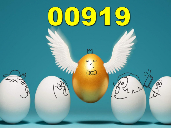 不是00929、00878...00919奪ETF零股交易王！「月底換股＋次次填息」25元還能買？有效買點在哪 - 今周刊